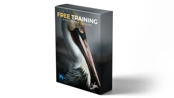 Free Training – Zenz Courses